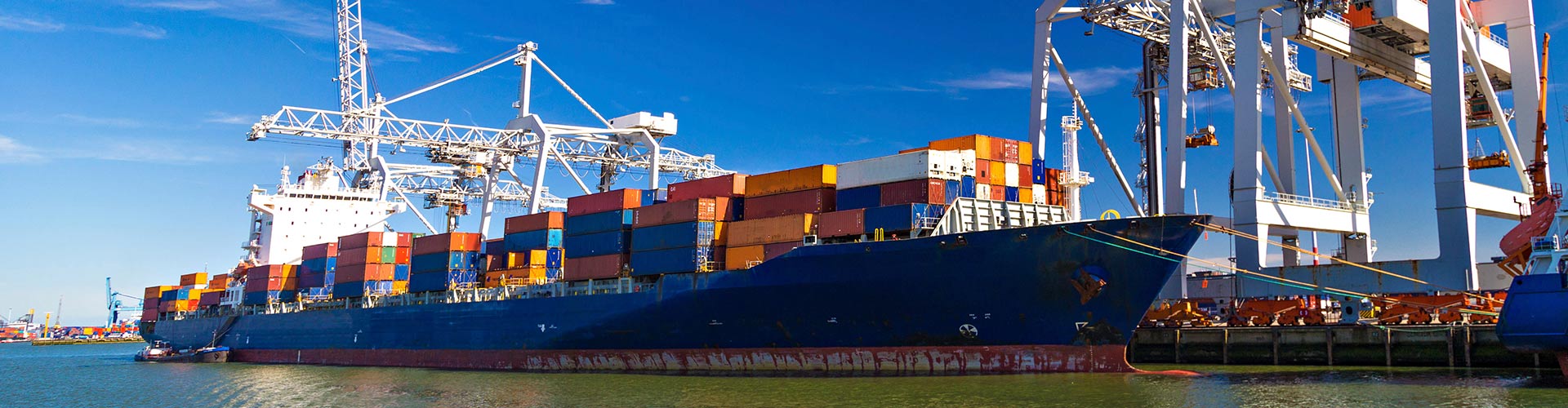 Transpacific Ocean Freight & Blank Sailings Update | Week 23
